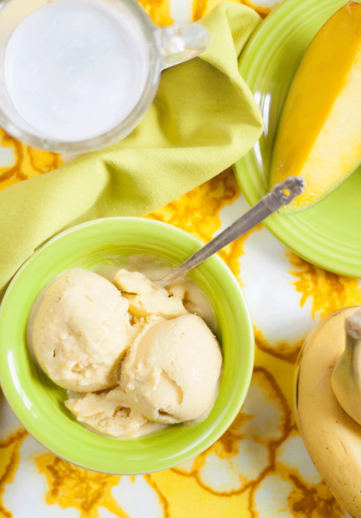 3 INGREDIENT TROPICAL ICE CREAM — Bit & Bauble